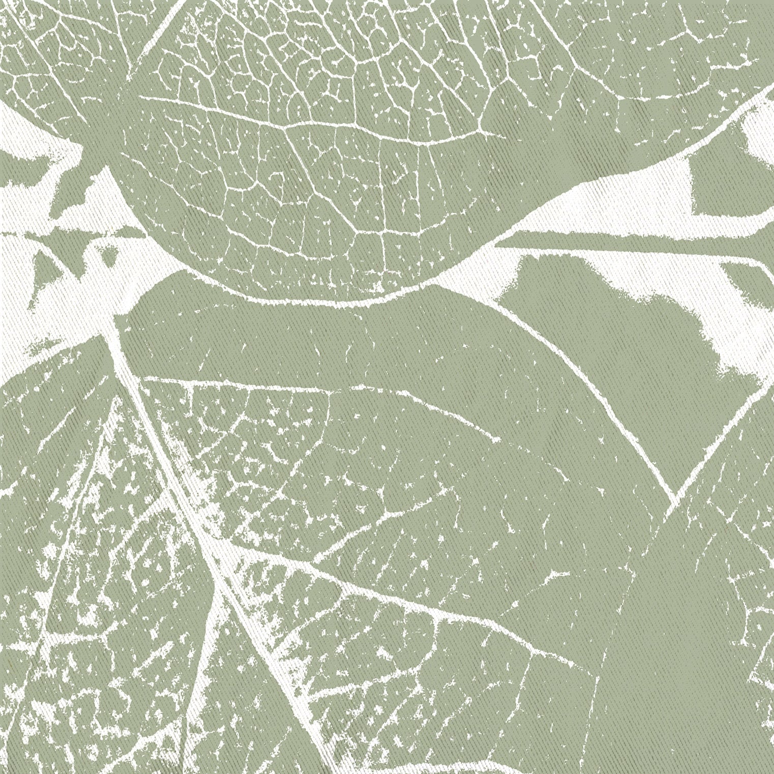Sage Green Large-scale Photographic Print: Leaves Monchromatic Spa ...