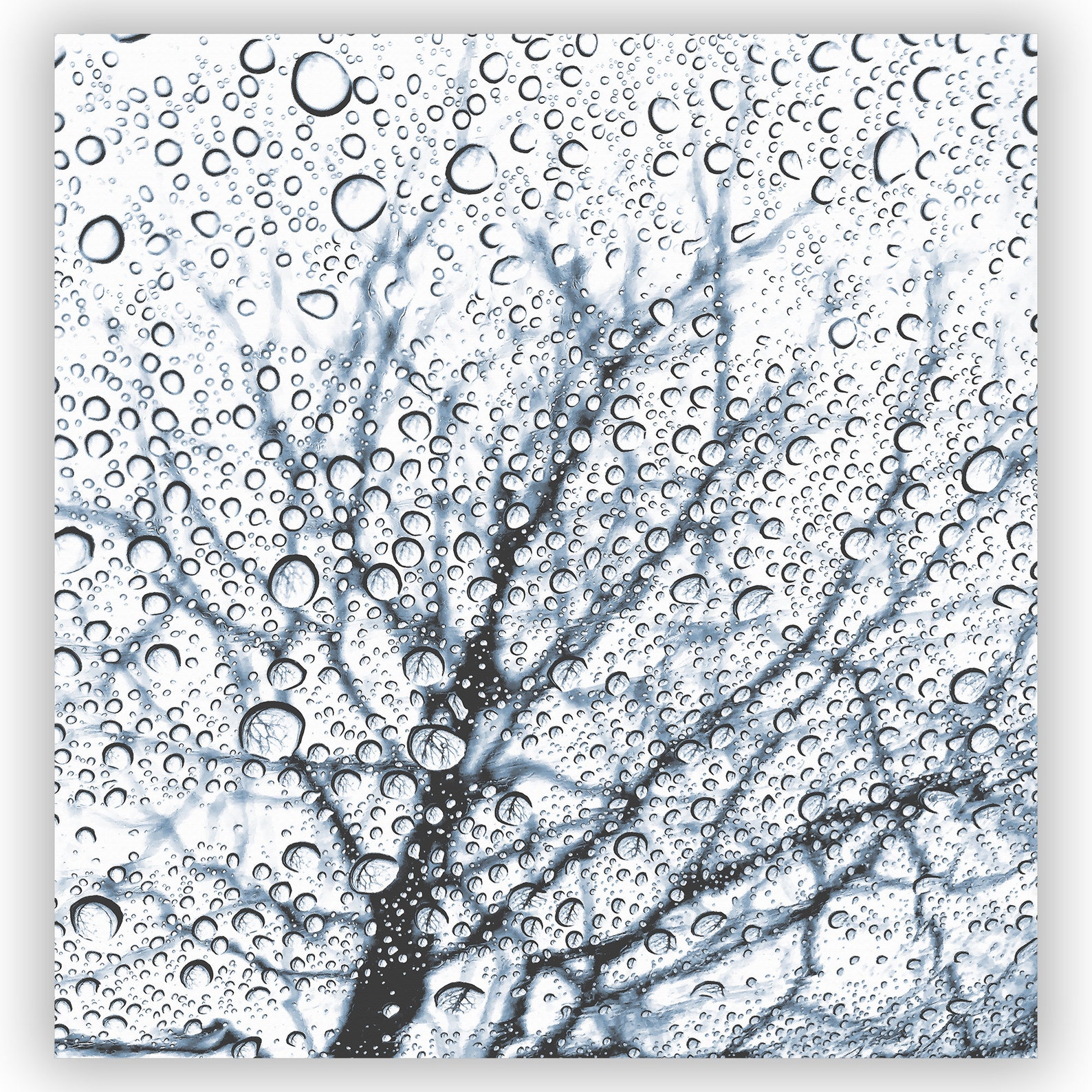Tree in the Rain Monochromatic Art Print Fabric Shower Curtain - Etsy