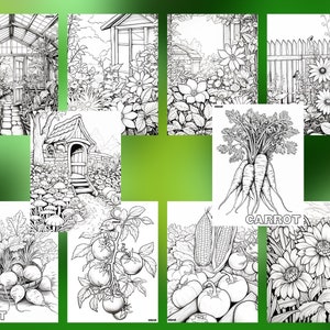 Printable Garden Coloring Sheets for Kids, Farm and Garden Coloring ...