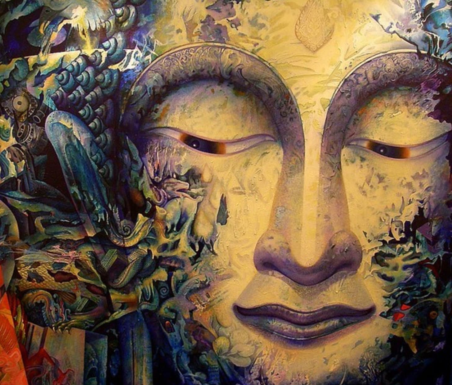 Tasha Novak's Instagram, Twitter & Facebook on IDCrawl