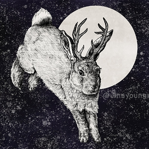 Jackalope Print - Etsy