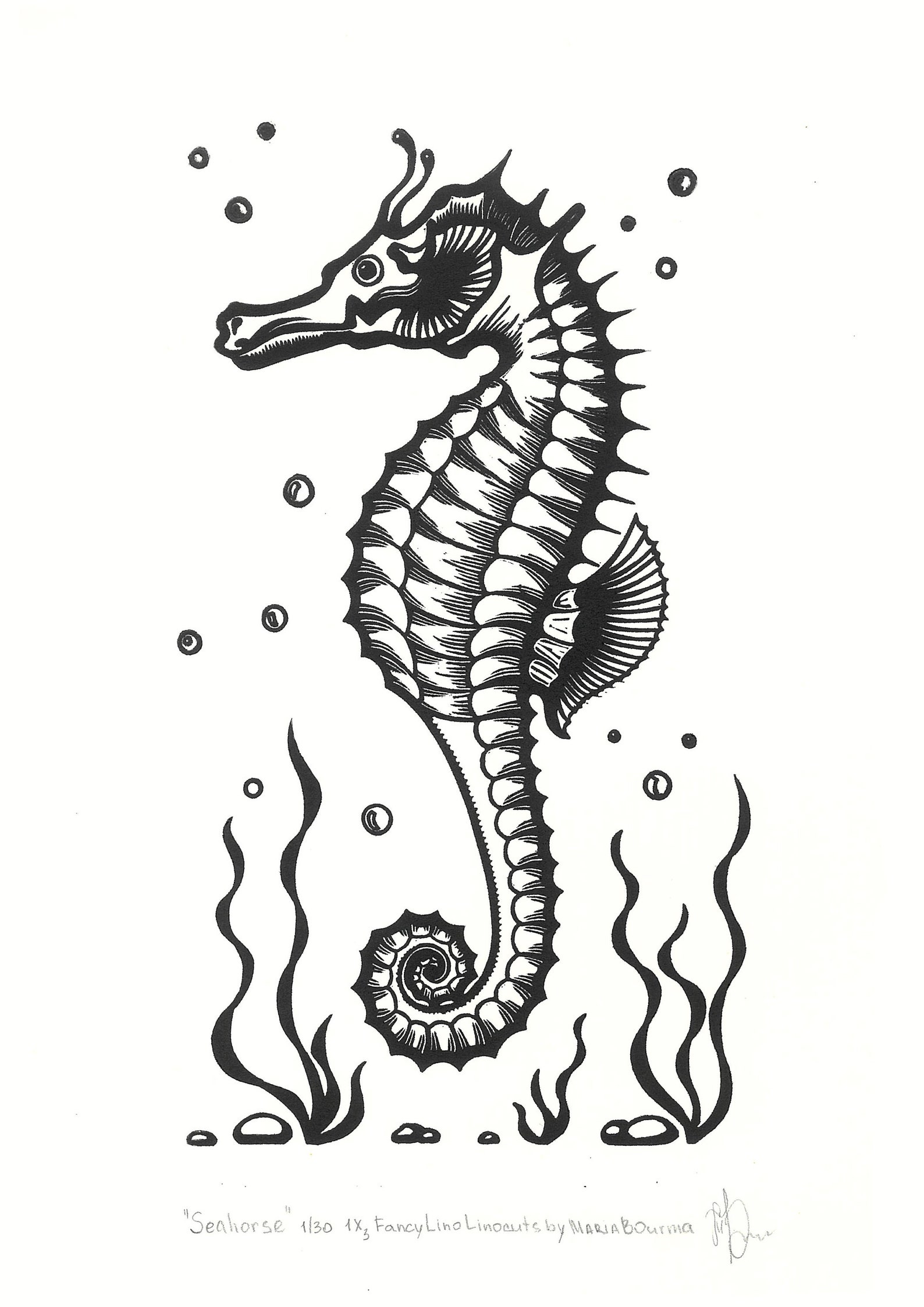 Seahorse Original Linocut Print Lino Print Limited Edition | Etsy