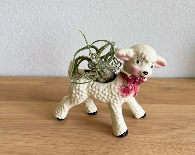 Vintage Lamb Planter / Unique Retro Sheep Air Plant Holder / Midcentury ...