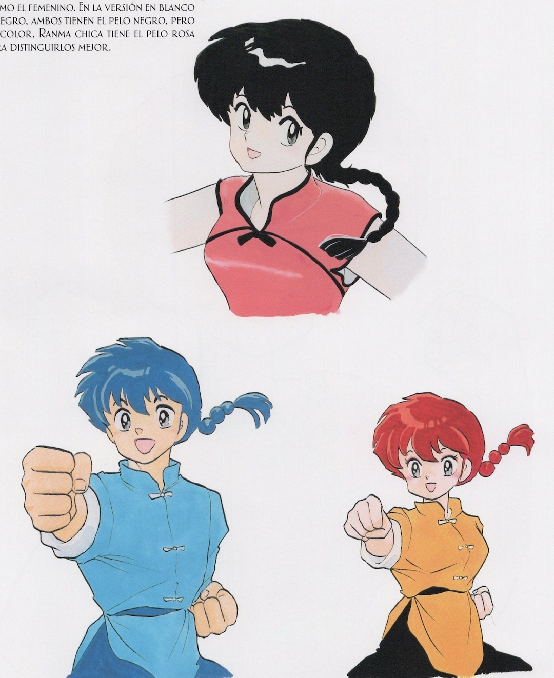 2003 RANMA 1/2 Double-sided POSTER 2 Posters in 1 (10.5" X 8.5") Manga ...