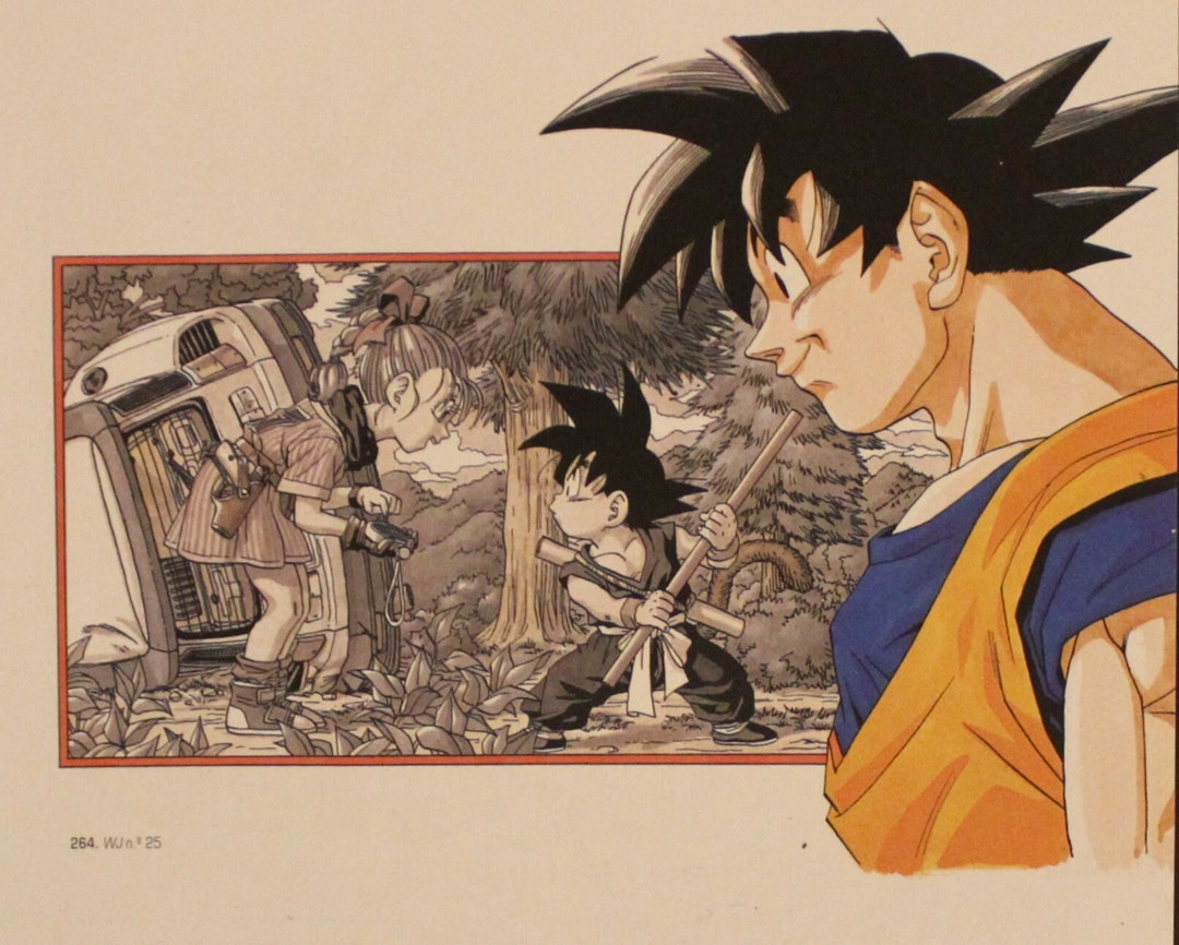 1996 Dragon Ball DOUBLE-SIDED MINIPOSTER 2 Posters in 1 10 X 7 25.5 X ...