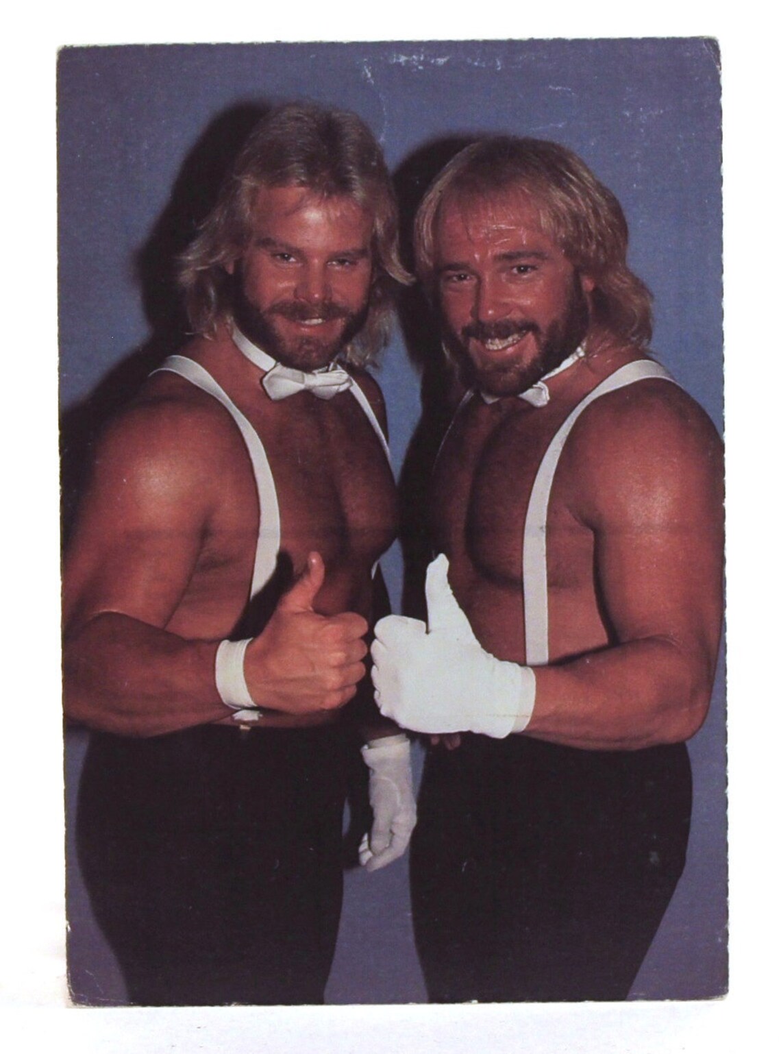 1985 WWF the FABULOUS ONES Vintage Postcard 4 X 5.5 - Etsy