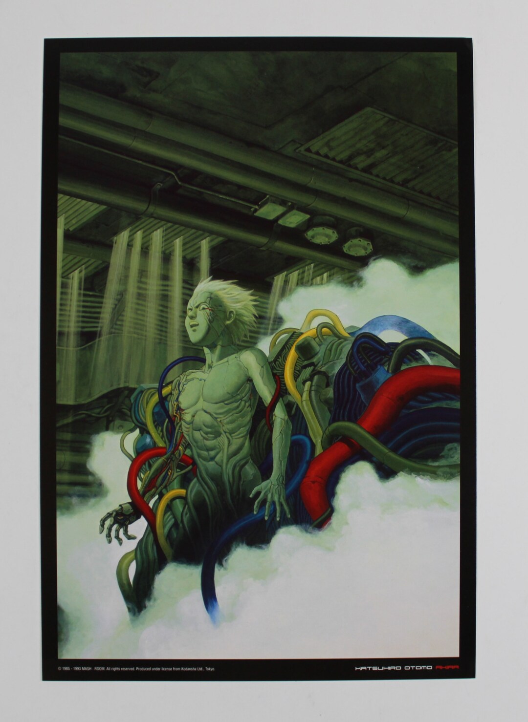 1993 AKIRA (katsuhiro Otomo) Hard Cardboard POSTER - Original Spanish ...