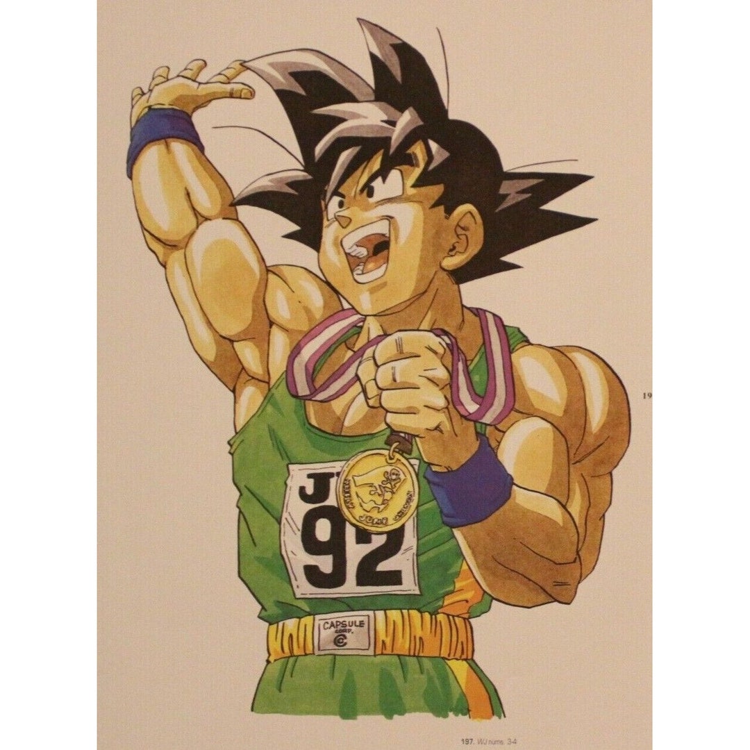 1996 Dragon Ball DOUBLE-SIDED MINIPOSTER 2 Posters in 1 - 10" X 7" (25. ...