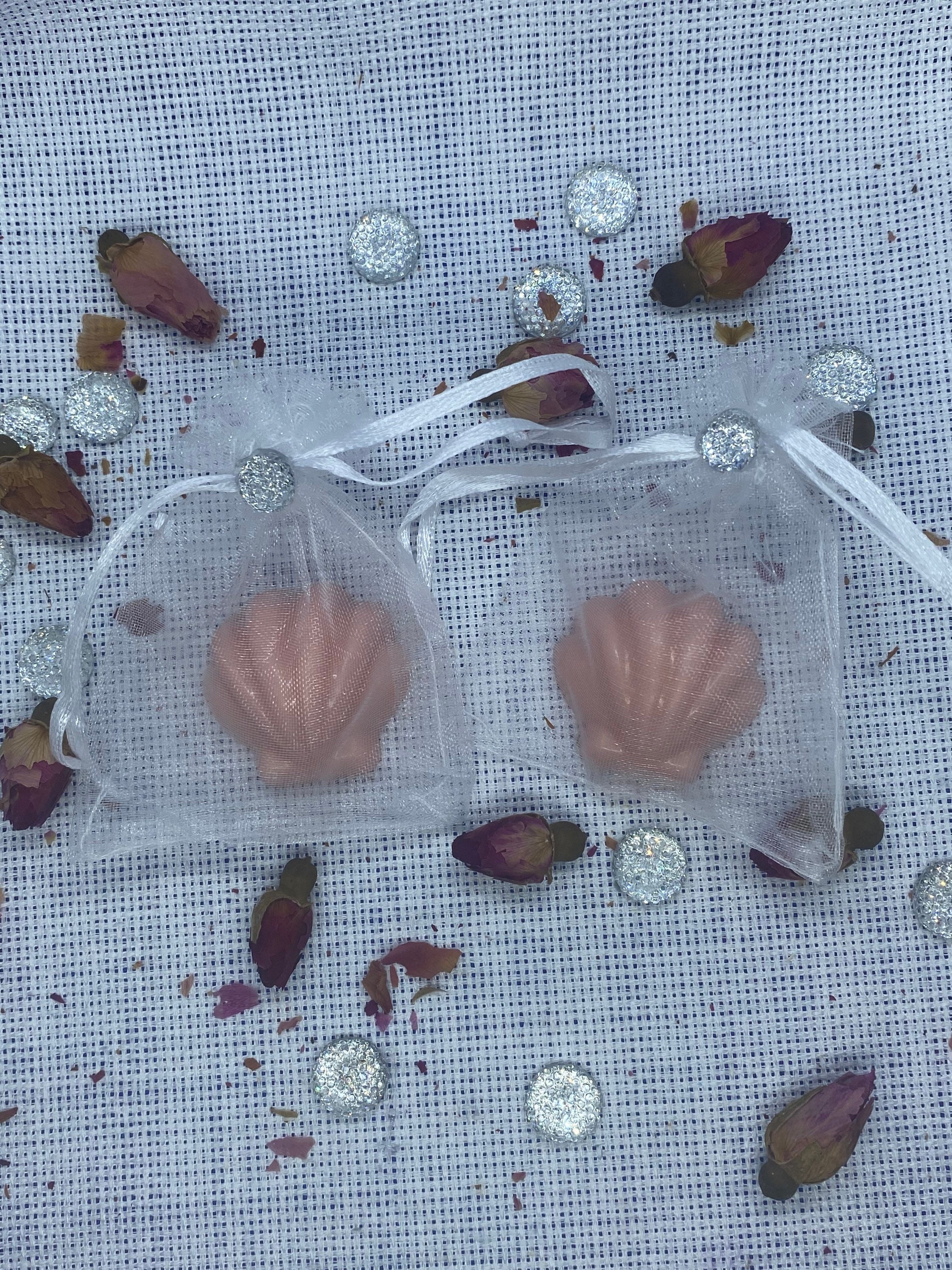 Seashell party favor Seashell birthday seashell baby shower | Etsy