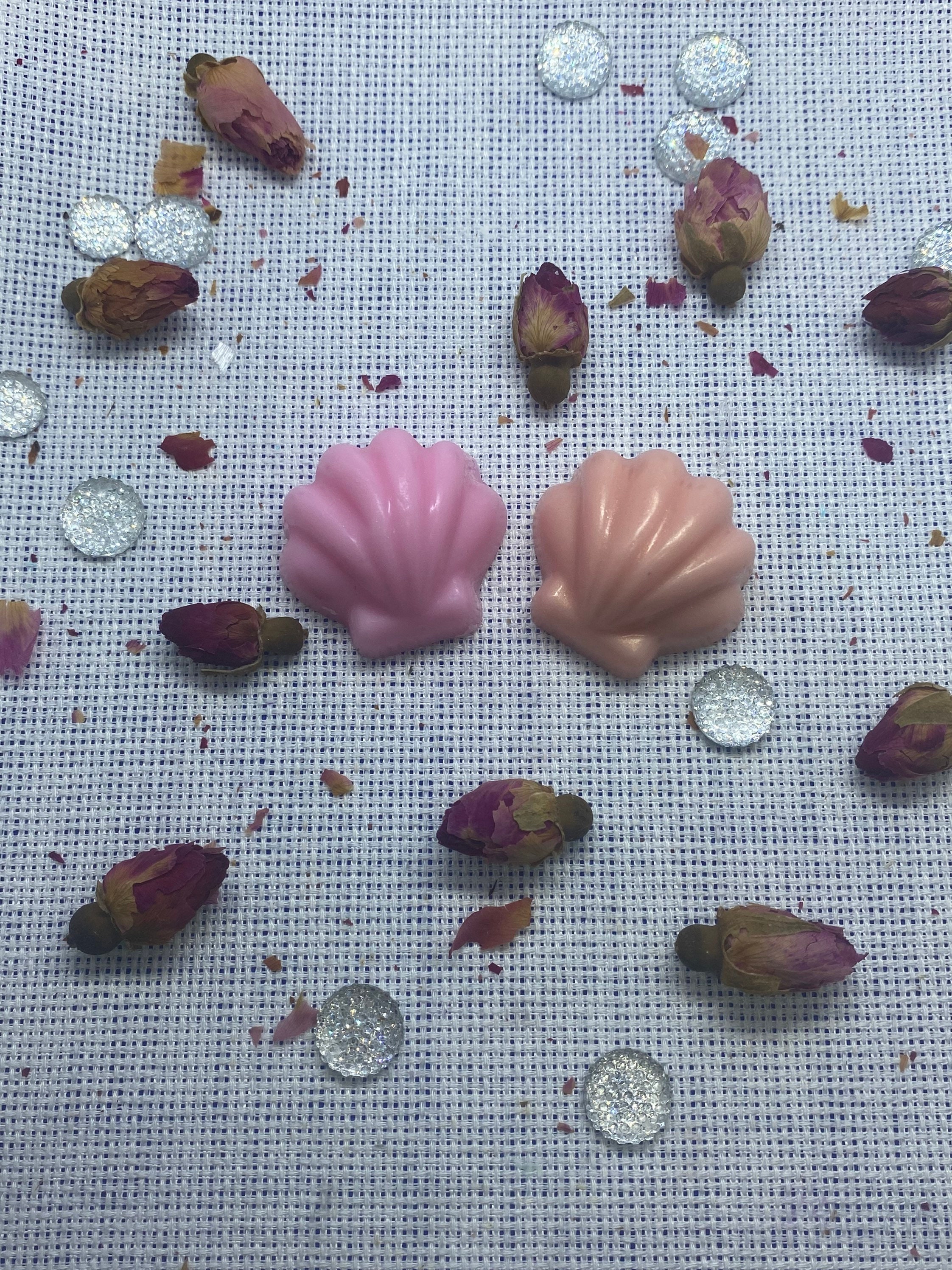 Seashell party favor Seashell birthday seashell baby shower | Etsy