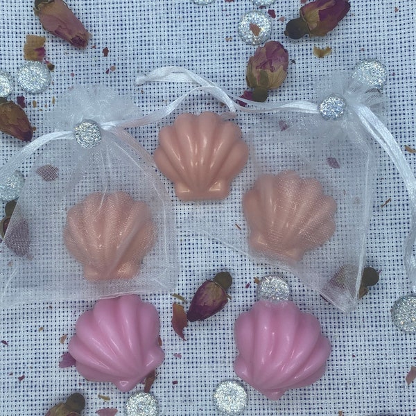 Seashell Favors - Etsy
