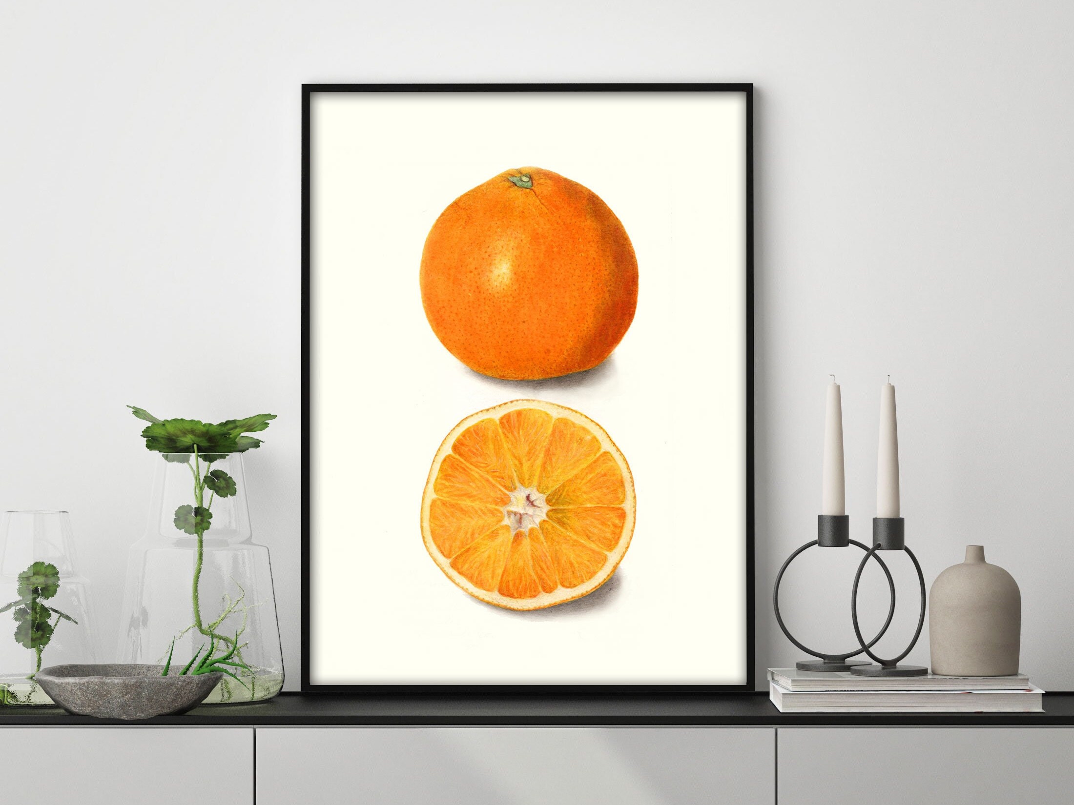 Oranges Vintage Art Print Poster Illustration Fruit Nature Eclectic ...