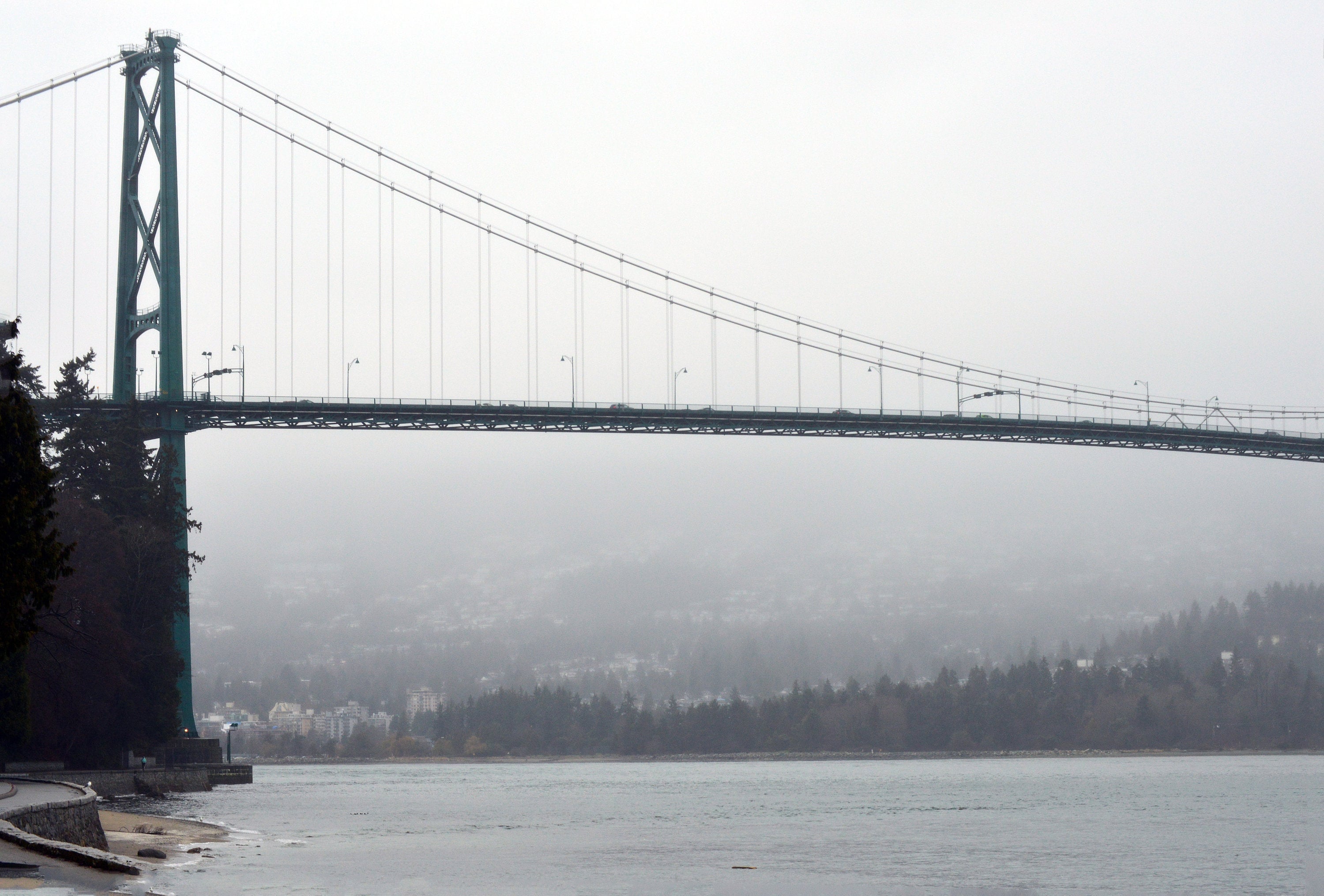 Lions Gate Bridge - Etsy