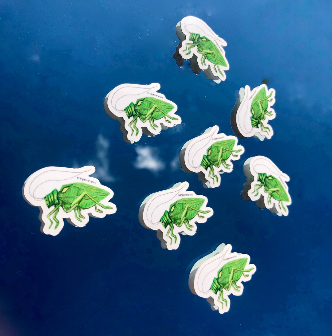 Katydid Vinyl Sticker - Etsy