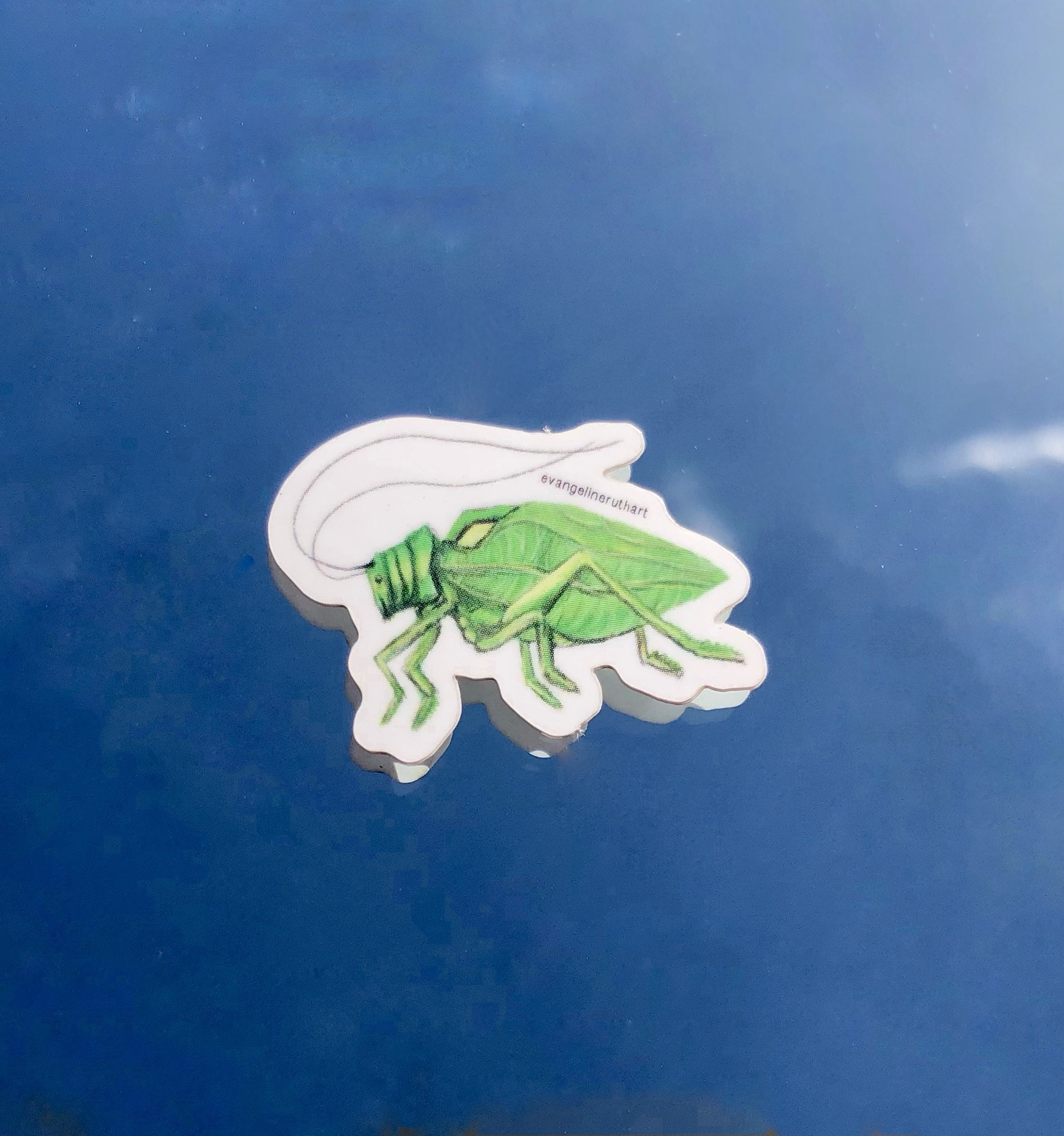 Katydid Vinyl Sticker - Etsy