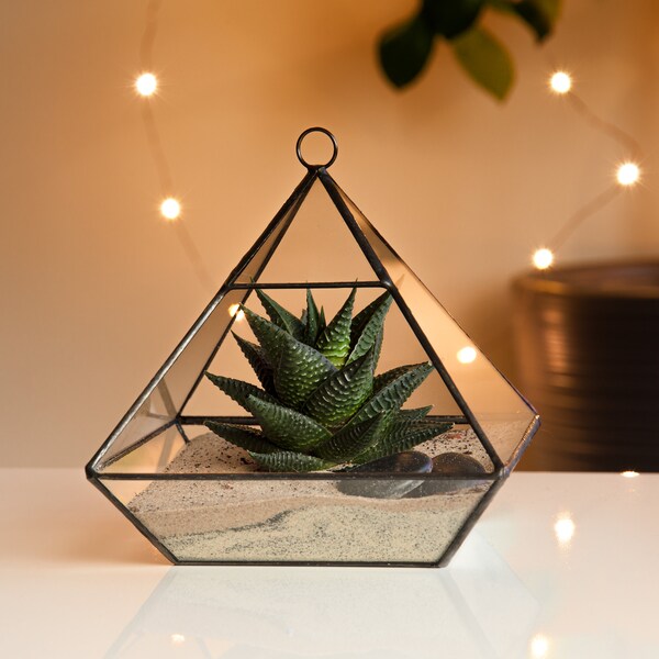 Unique Terrarium - Etsy
