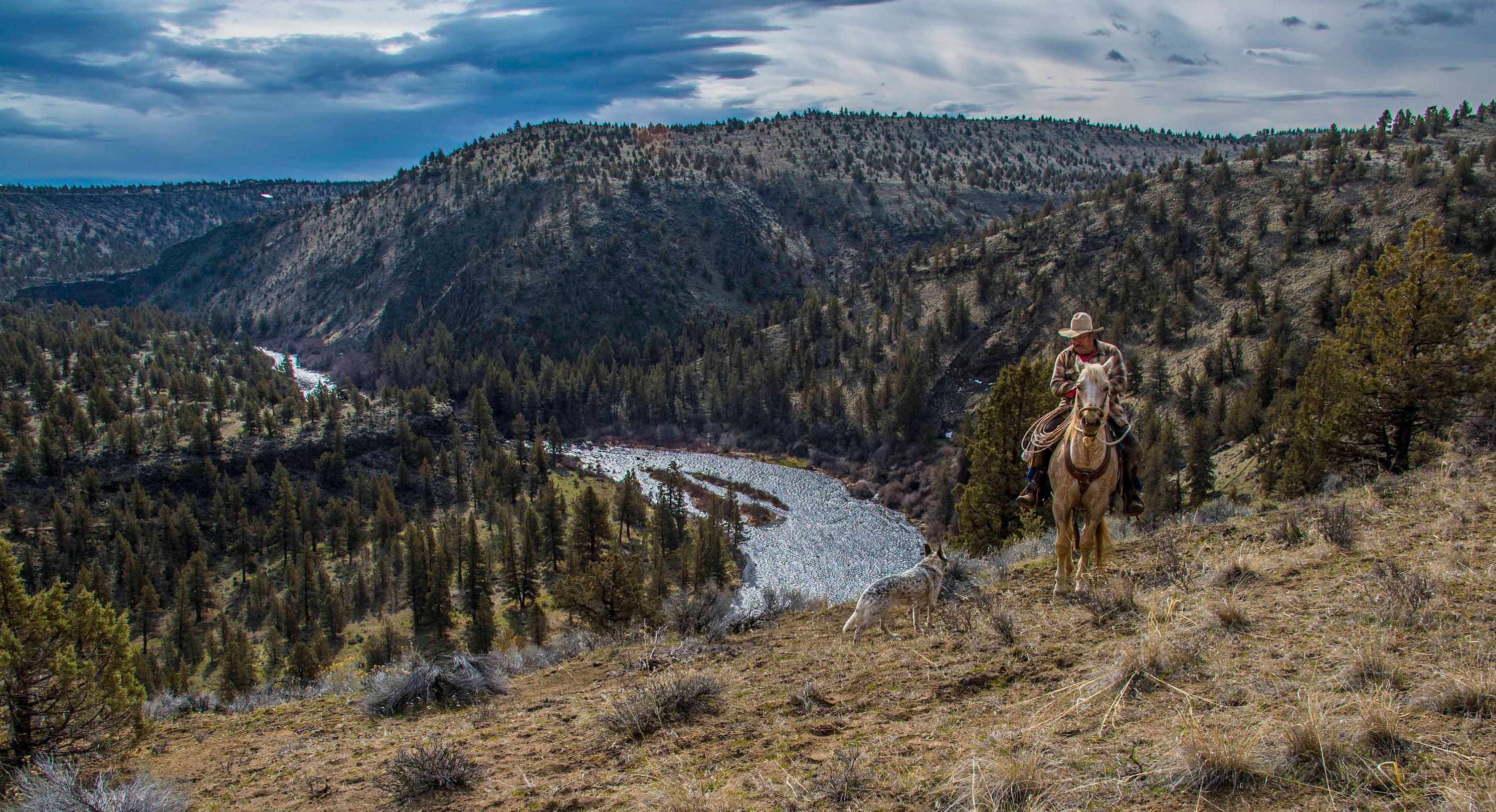 Handmade Moose or Elk Hide Moccasins - Etsy