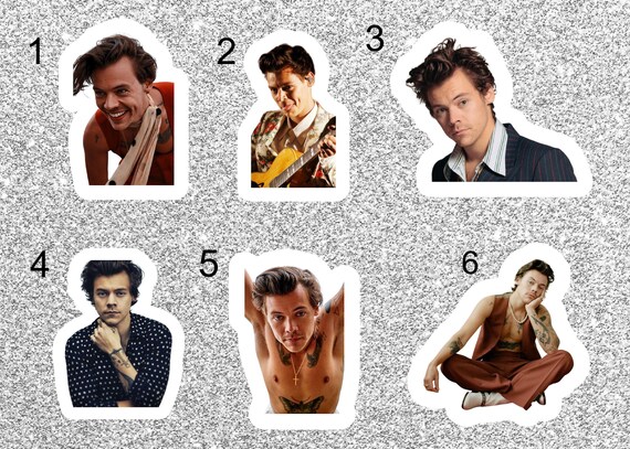 Harry Styles Stickers - Etsy