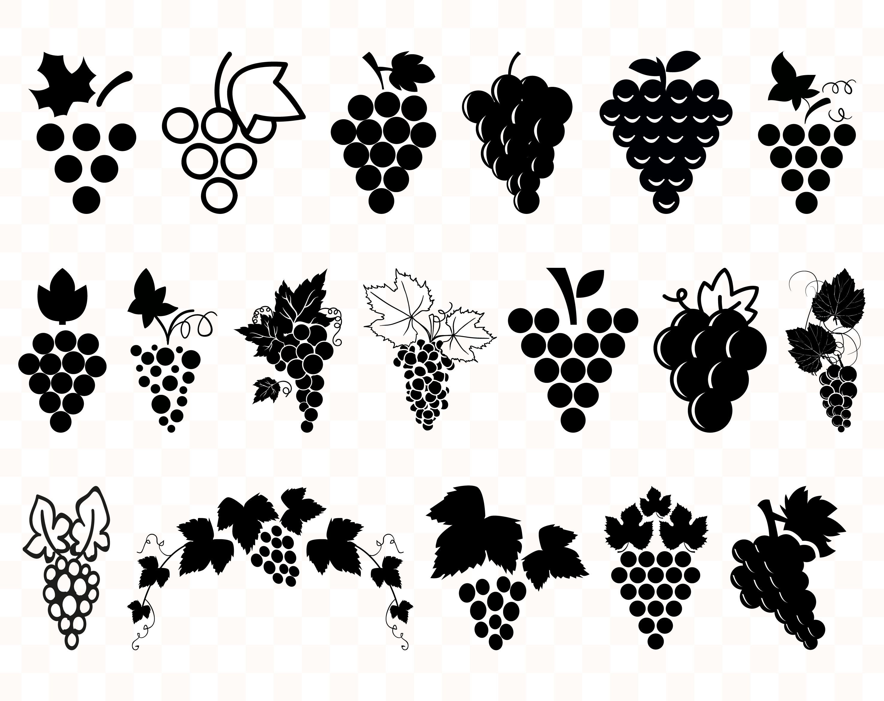 Grape svg Grape svg file Wine svg Vineyard svg Fruits svg | Etsy