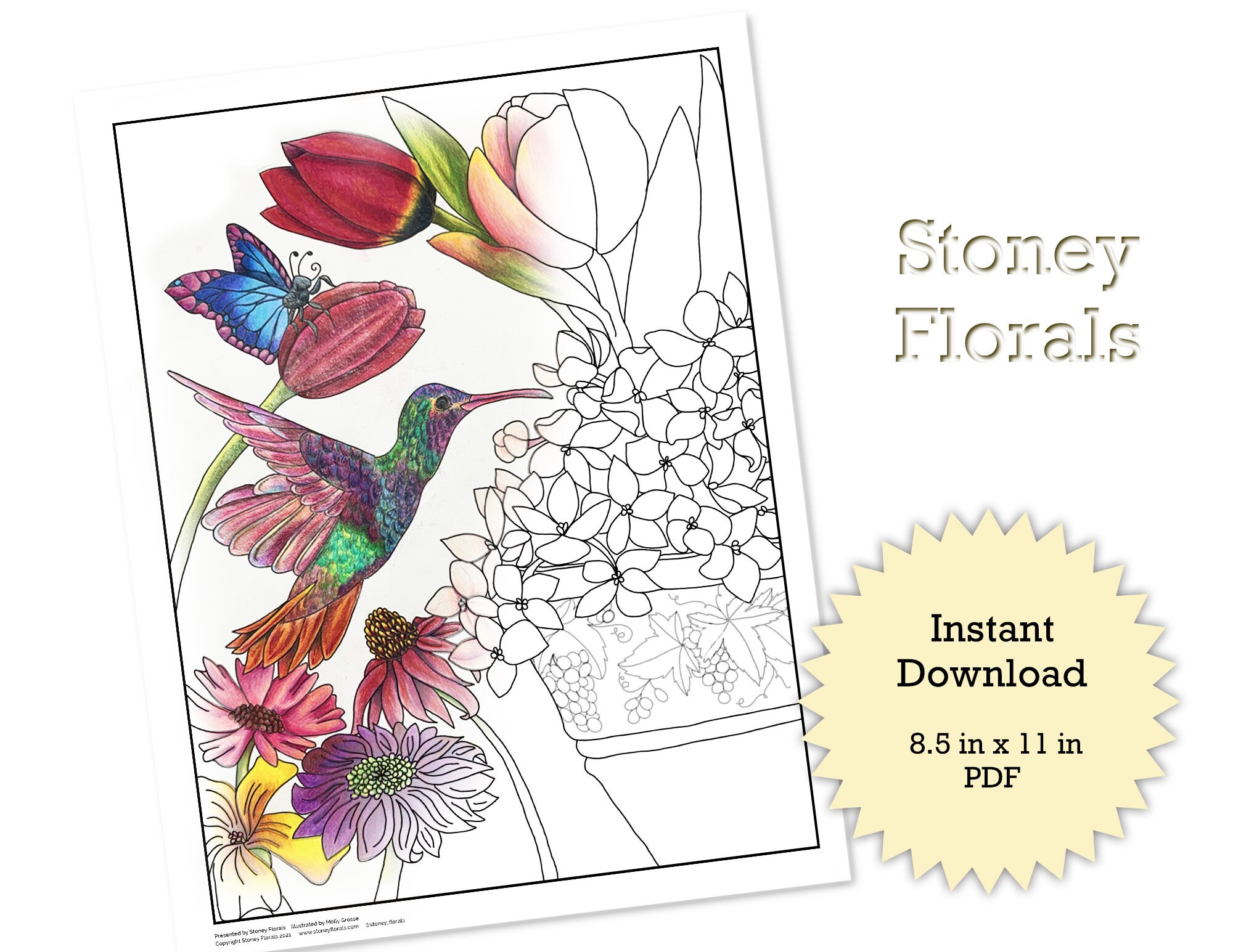 Coloring Pages Of Hummingbirds And Flowers