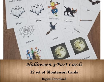 Montessori 3 Part Cards Parts of a Bee - Etsy