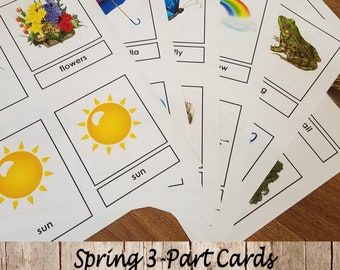 Montessori 3 Part Cards/flower Language Cards/spring Flowers/emergent ...