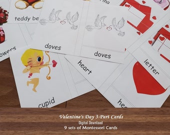 Montessori 3 Part Cards Parts of a Dragonfly - Etsy