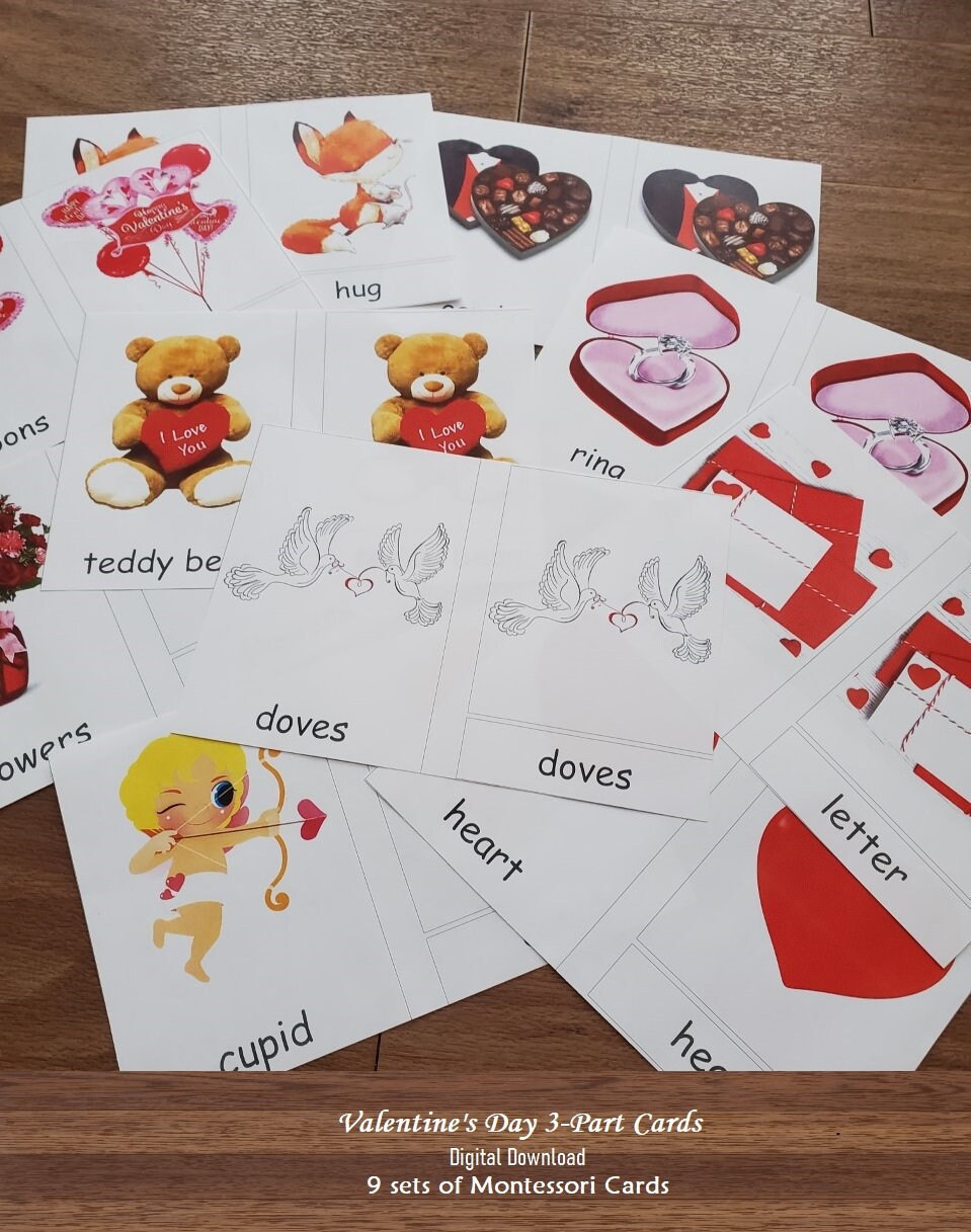 Valentine's Day Montessori 3-part Cards - Etsy