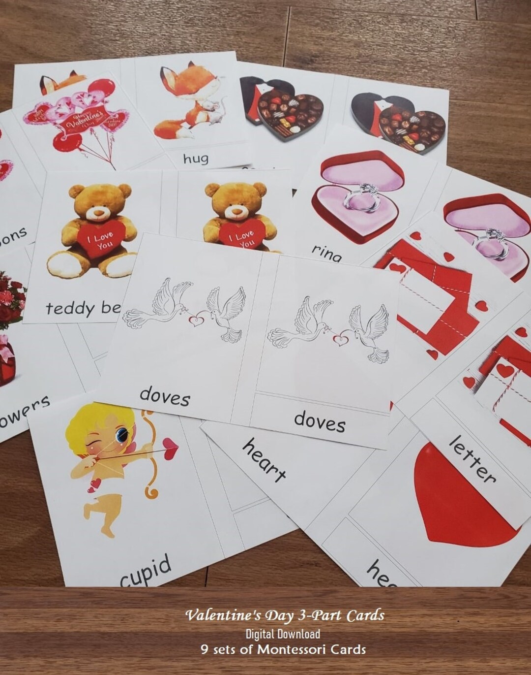 Valentine's Day (SPANISH) Montessori 3-part Cards - Etsy