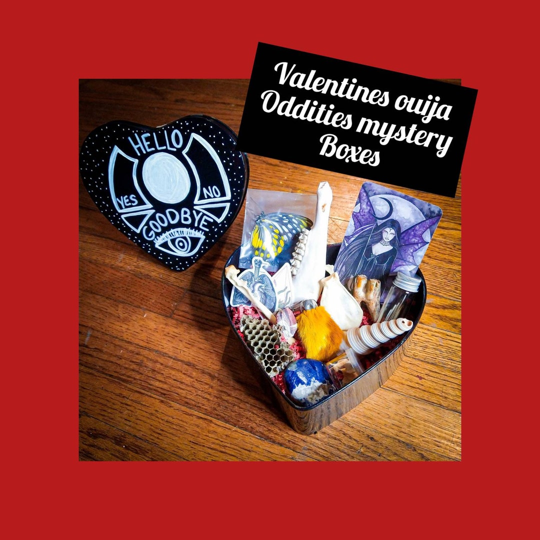 Ouija Oddities Mystery Boxes.. Skulls Bones Insects Paws - Etsy