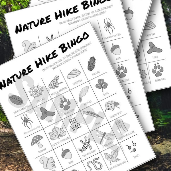 Nature Guessing Game Who Am I Game What Am I Game Forest School - Etsy