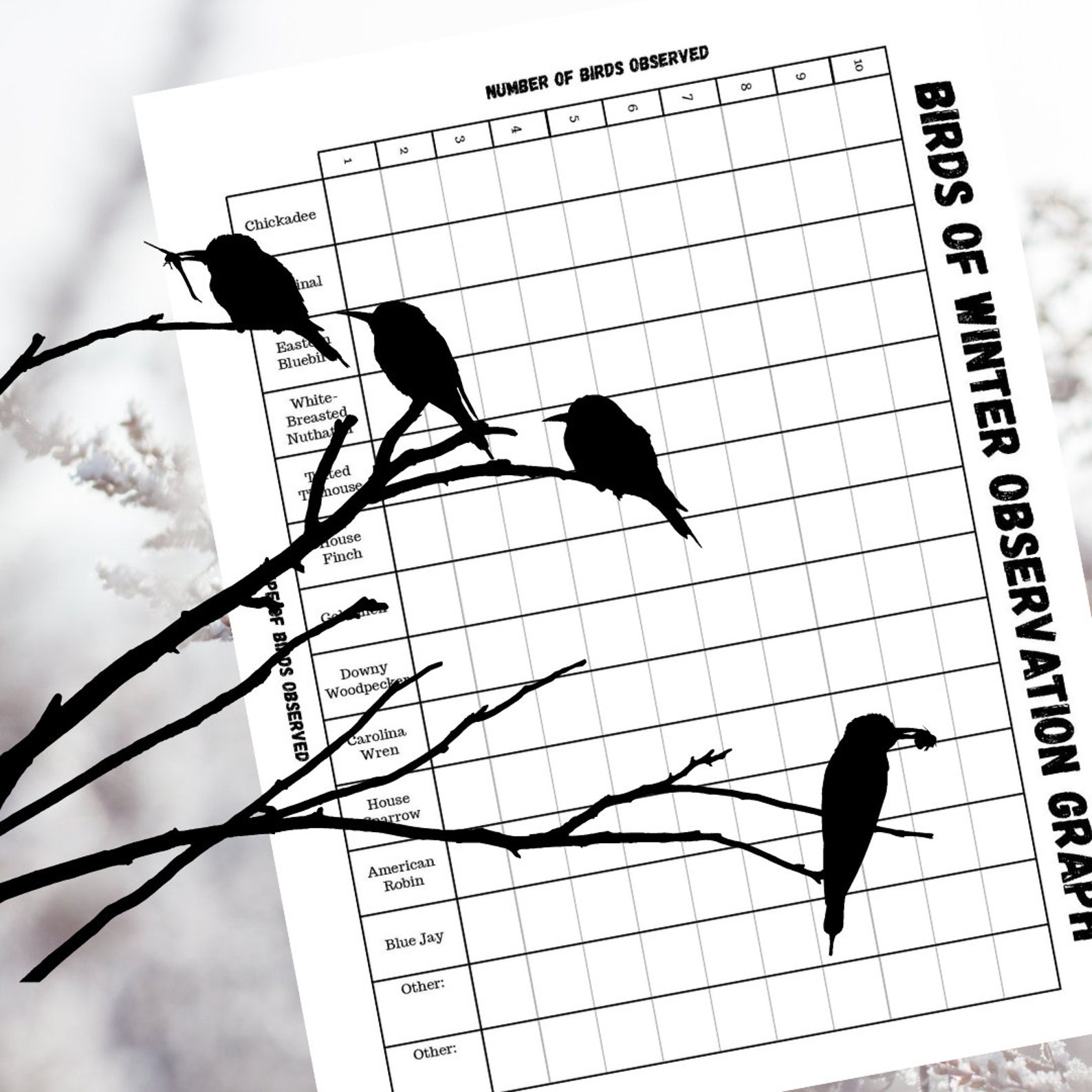 Winter Birds | Birdwatching Log | Nature Study | Homeschool | Printable ...