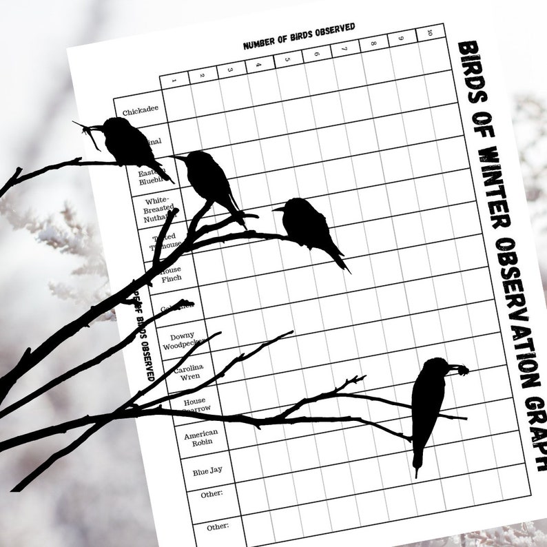 Winter Birds | Birdwatching Log | Nature Study | Homeschool | Printable ...
