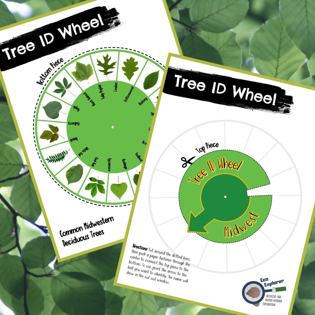 MIDWEST Tree ID Wheel Leaf Identification Nature Study Homeschool ...