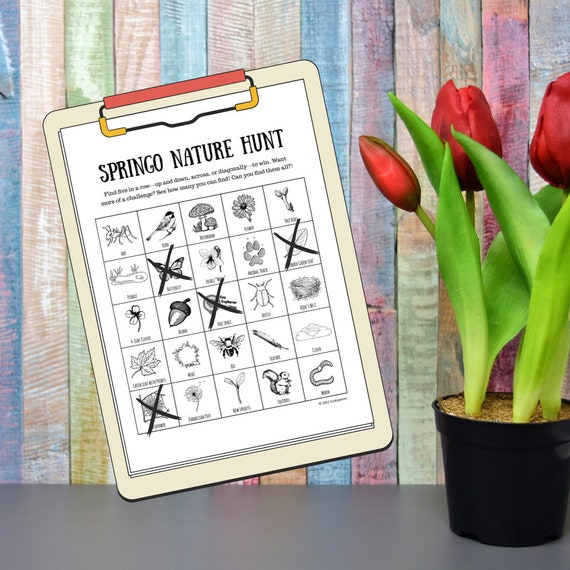 Spring Bingo Scavenger Hunt Nature Game | Etsy