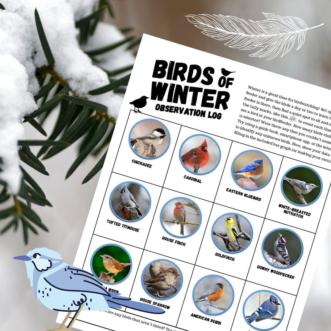 Winter Birds | Birdwatching Log | Nature Study | Homeschool | Printable ...
