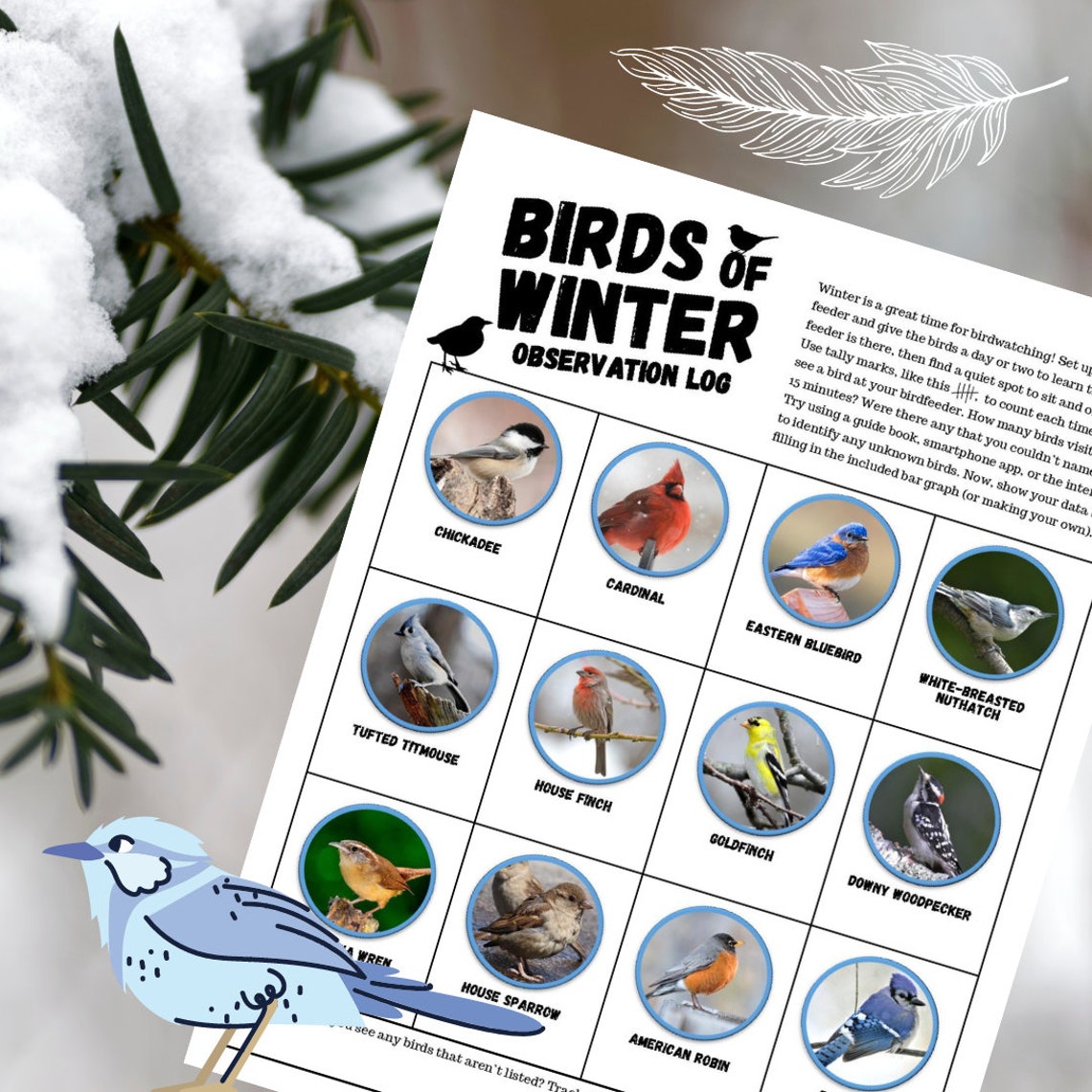 Winter Birds | Birdwatching Log | Nature Study | Homeschool | Printable ...