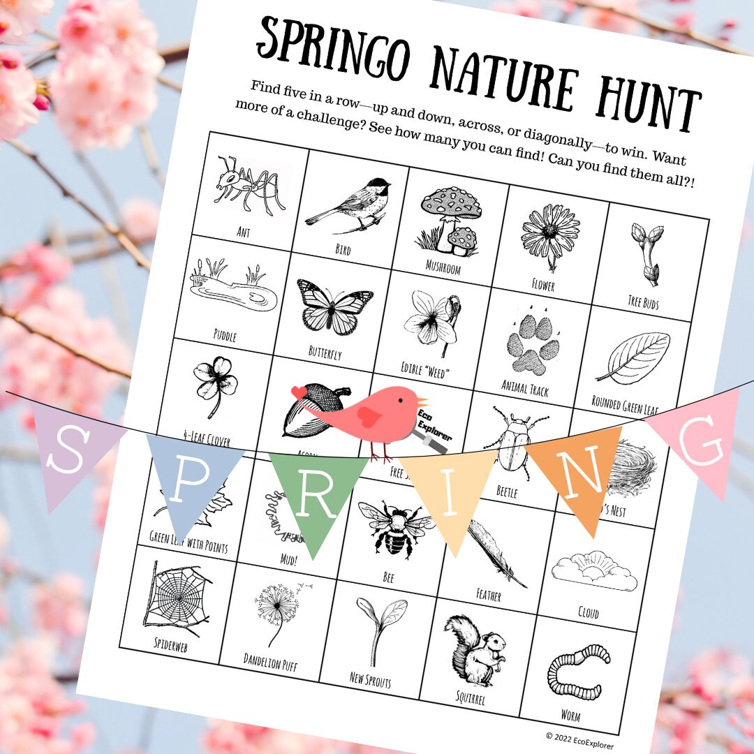 Spring Bingo | Scavenger Hunt | Nature Game - Etsy