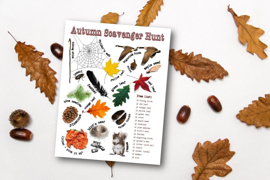 Autumn Scavenger Hunt | Nature Hunt | Nature Game | Forest School - Etsy