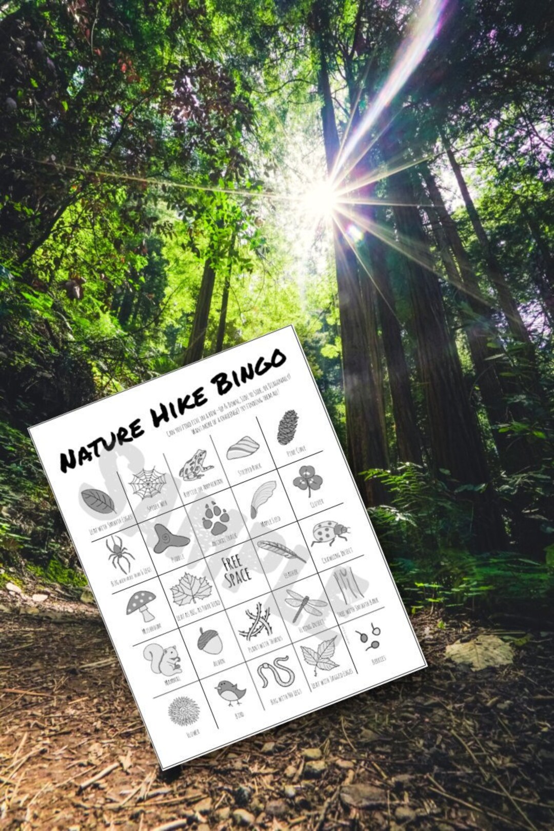 Nature Hike Bingo | Scavenger Hunt | Summer Camp Game | Nature Game - Etsy