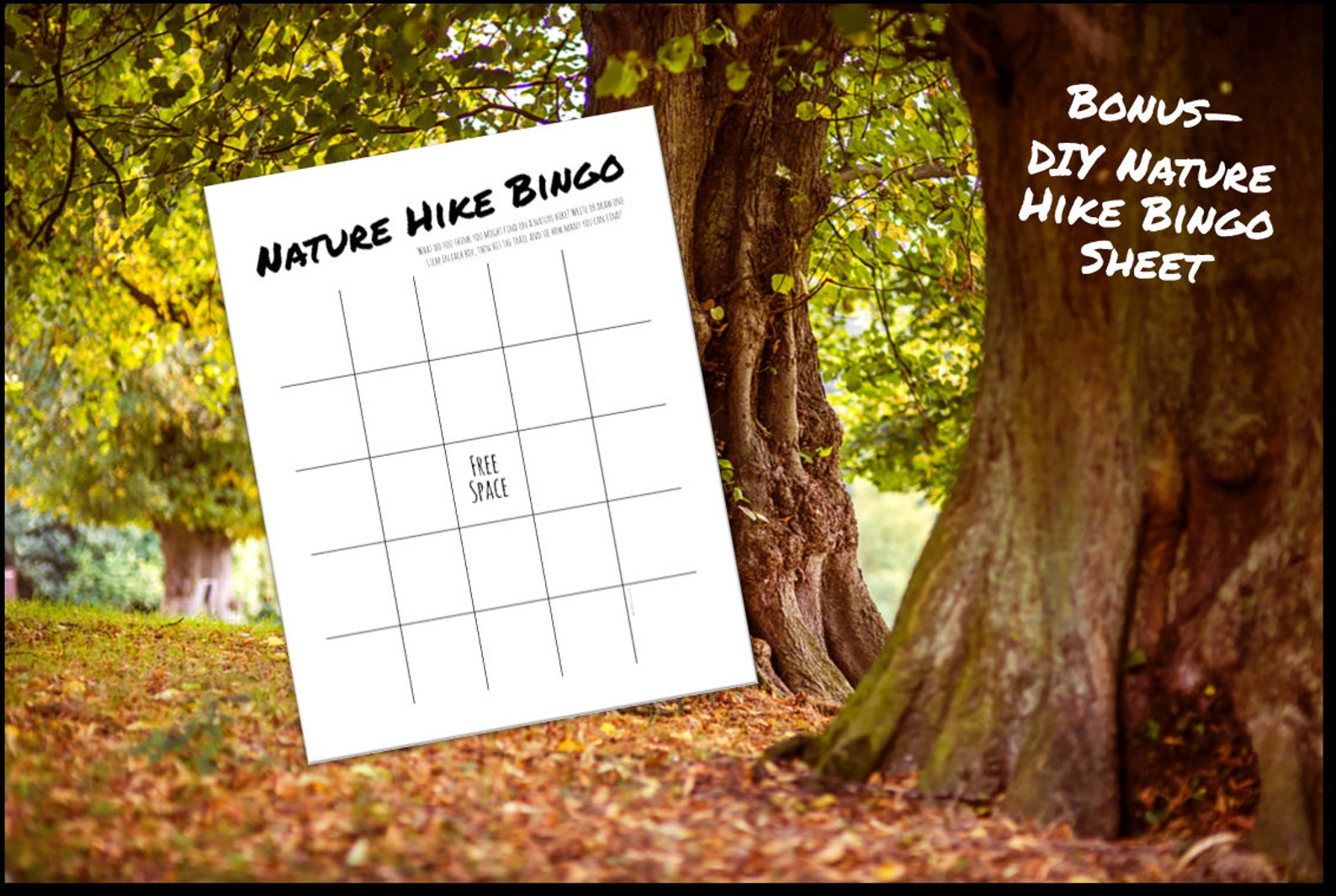 Nature Hike Bingo - Multiple Playing Cards | Scavenger Hunt | Summer ...