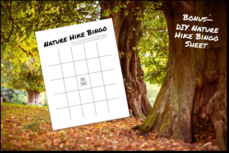 Nature Hike Bingo - Multiple Playing Cards | Scavenger Hunt | Summer ...