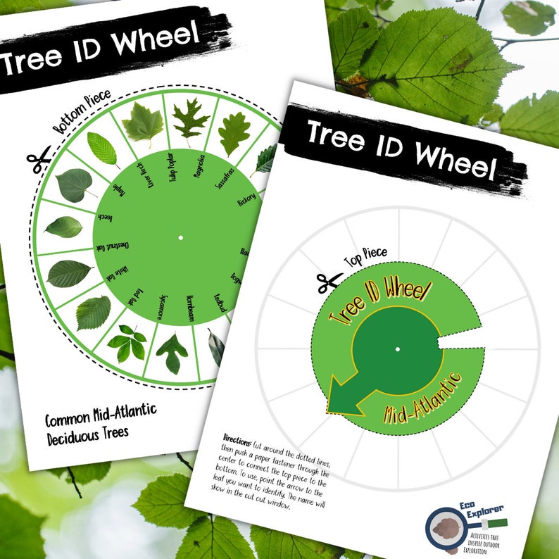 MID-ATLANTIC Tree ID Wheel | Leaf Identification | Nature Study ...