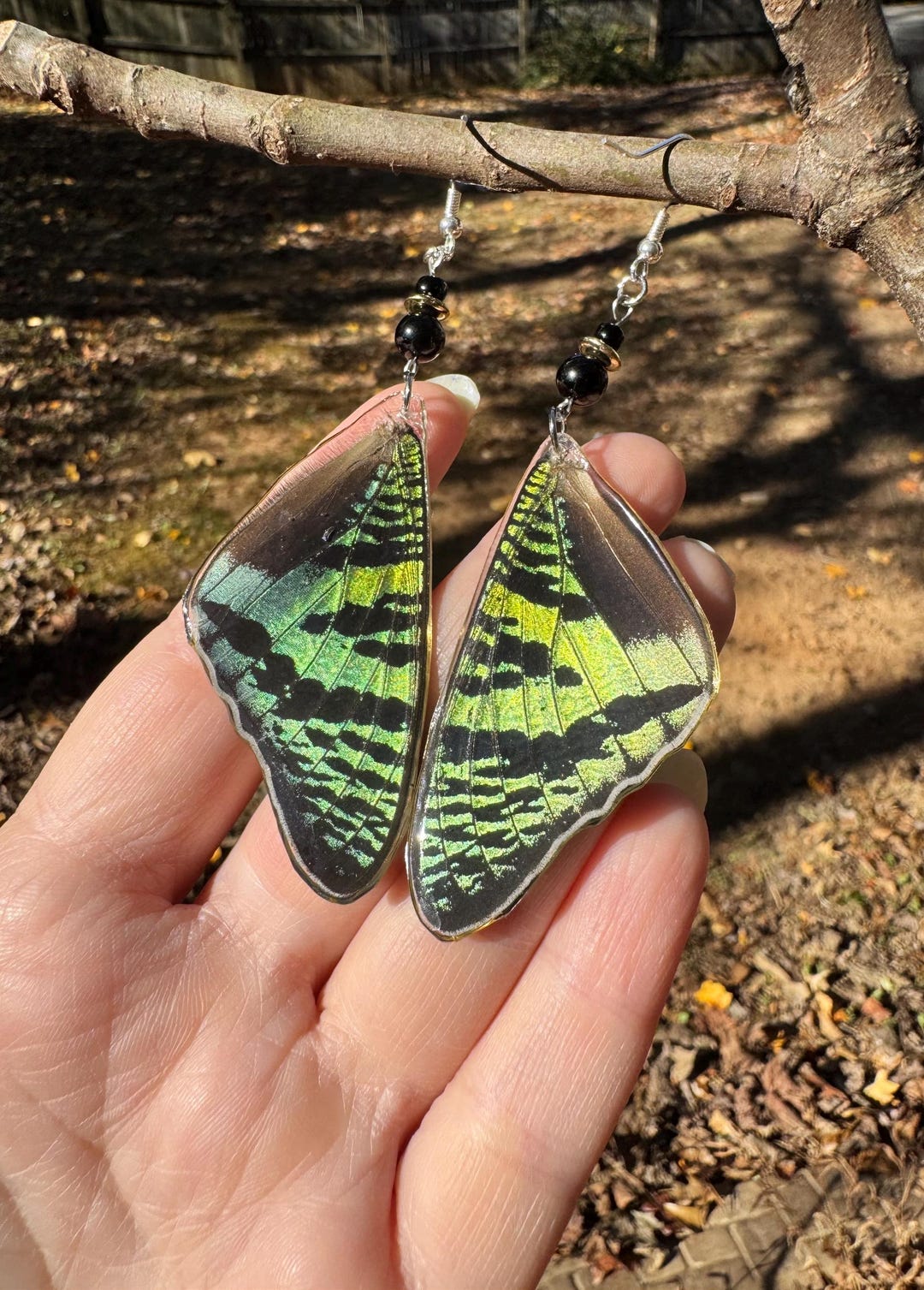 Madagascan Sunset Moth Wing Earrings - Etsy