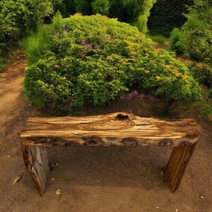Live Edge Spalted Maple Bench, Rustic, Rare Find - Etsy