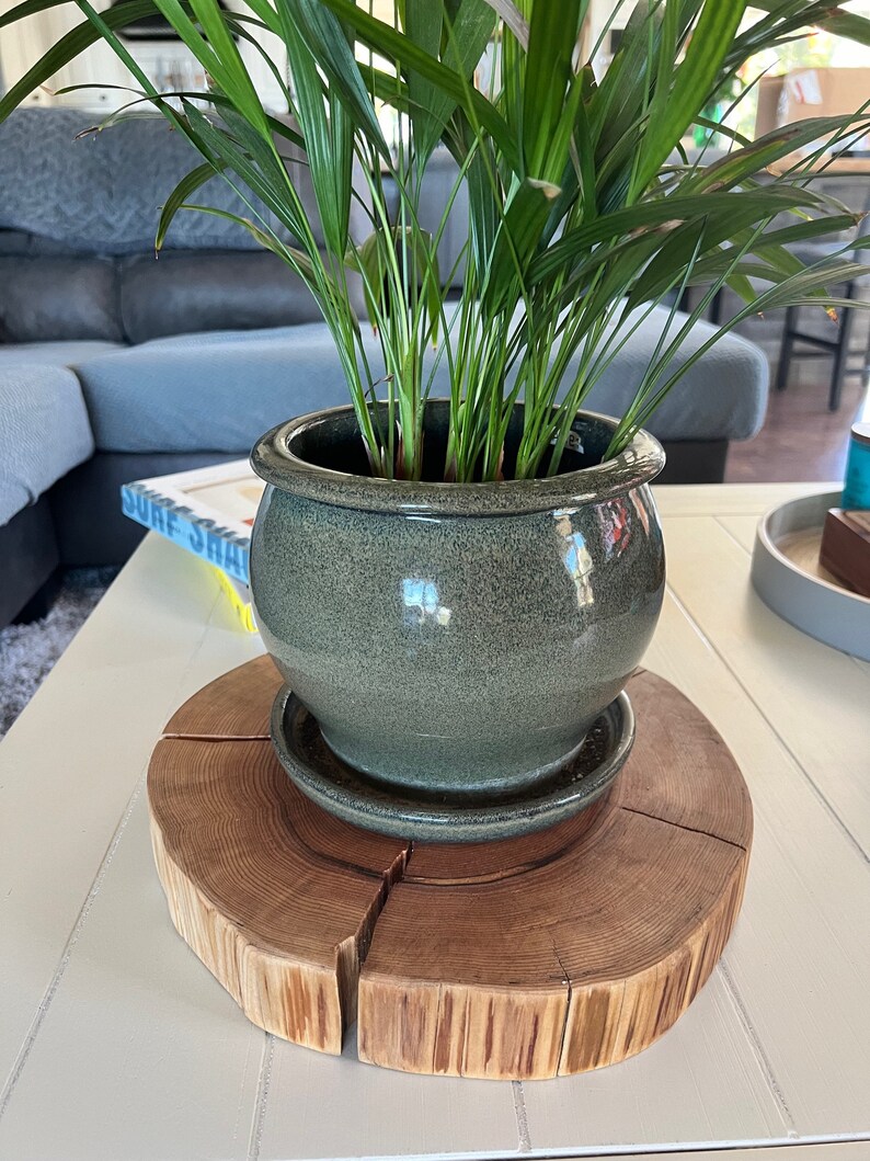 Live Edge Thick Cedar Round , Trivet, Board, Cake Stand, Centerpiece ...