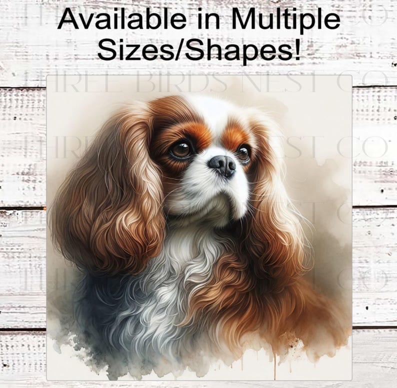 Cavalier King Charles Spaniel Everyday Wreath Sign- PA2360 - Etsy