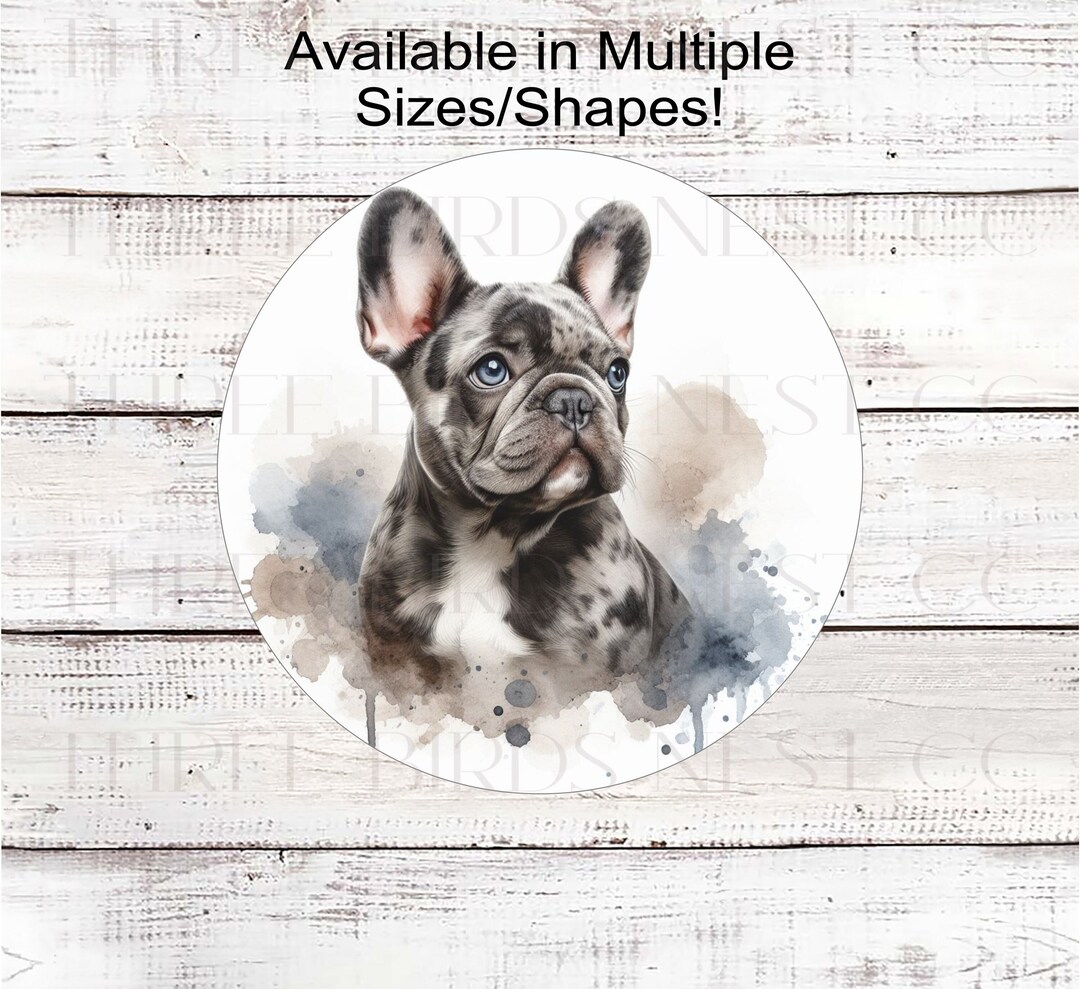 Merle French Bulldog Wreath Sign - Everyday Wreath Sign - Frenchie Dog ...