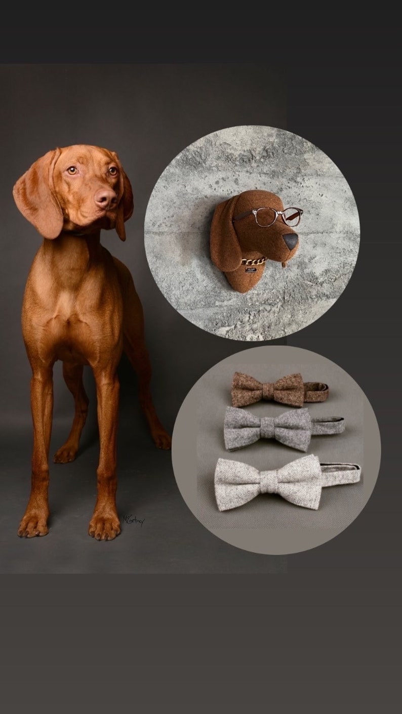 3d Dog Head Wall Decor Home Decor Animal Heads Dog Figure - Etsy