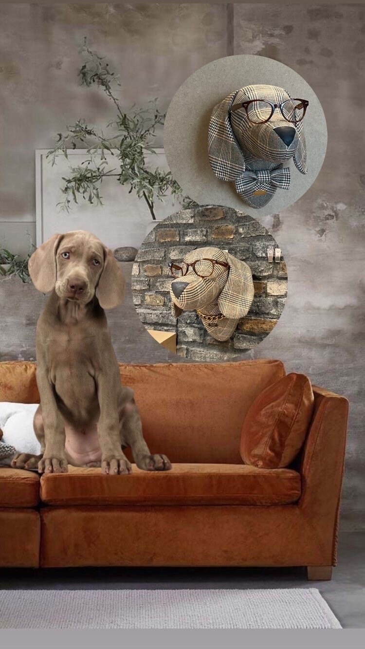 3d Dog Head, Wall Decor, Home Decor, Animal Heads, Dog Figure, Home ...
